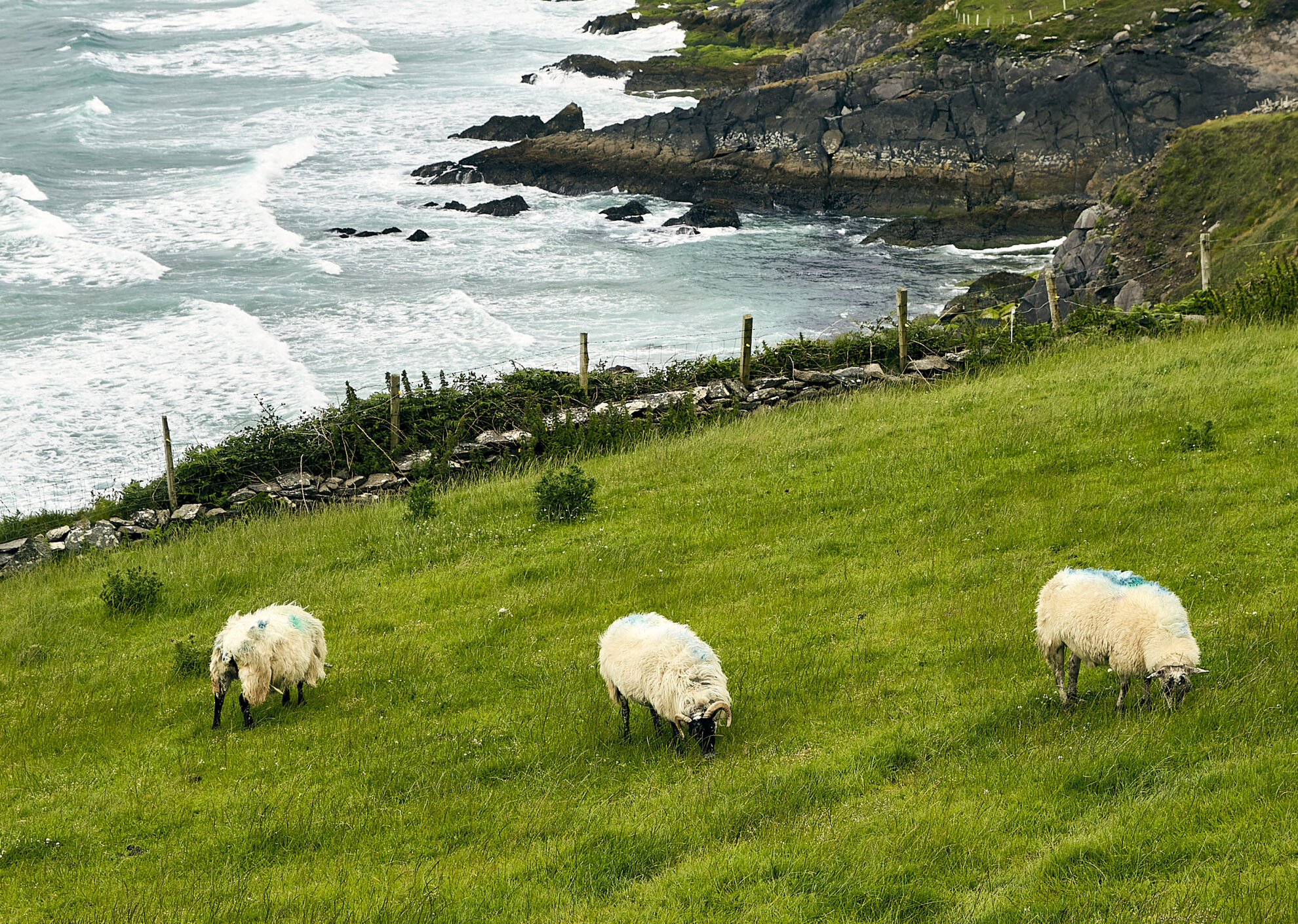 Celtic Food - Celtic Heritage Foundation