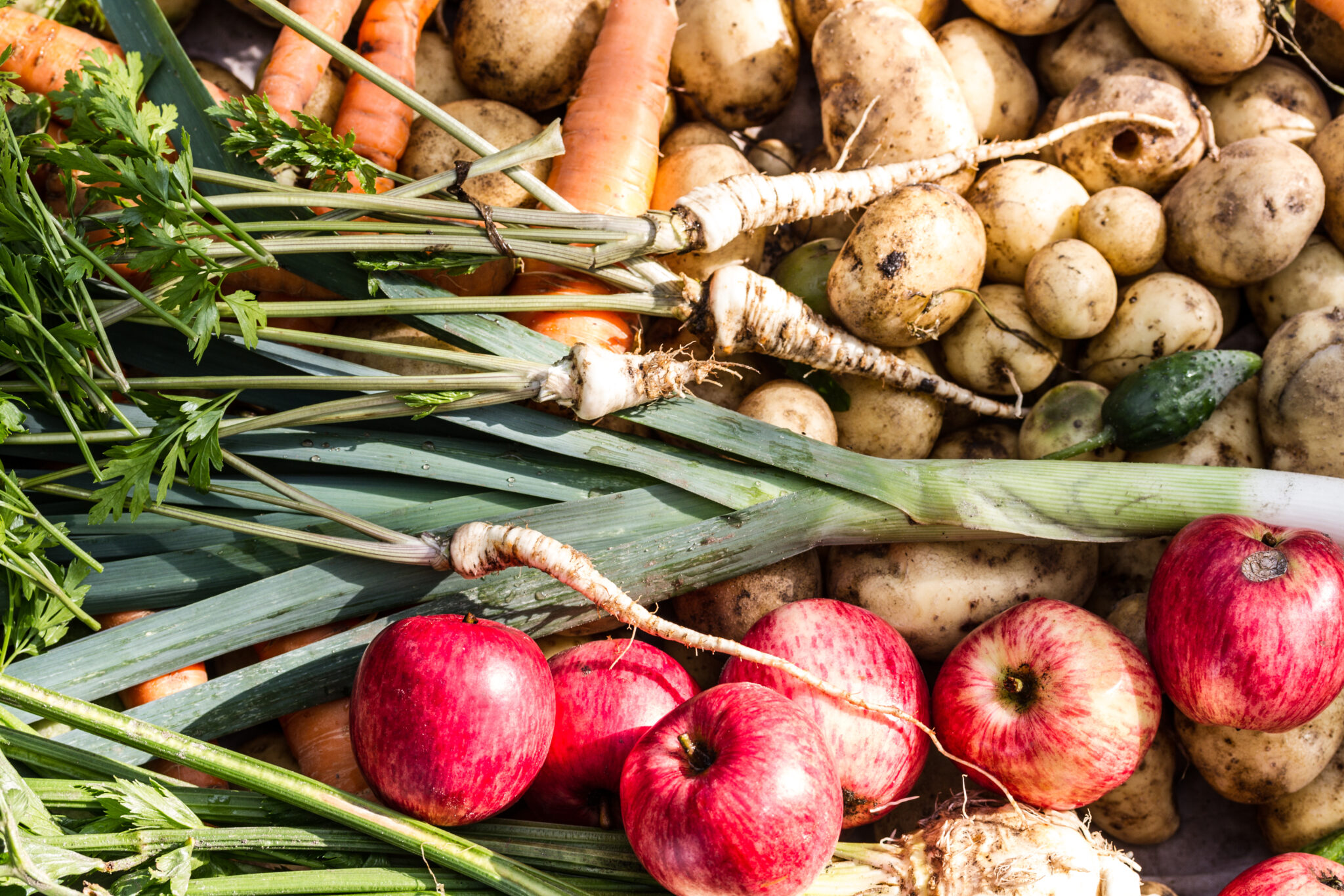 Celtic Food - Celtic Heritage Foundation